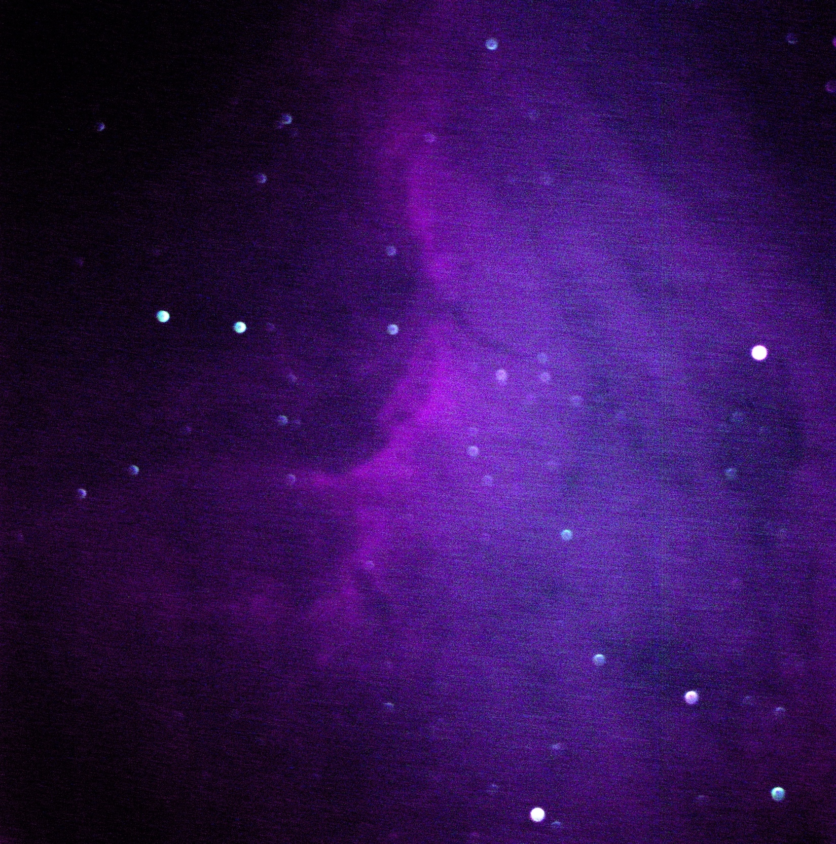 A Purple Pelican Nebula | Astronoblog